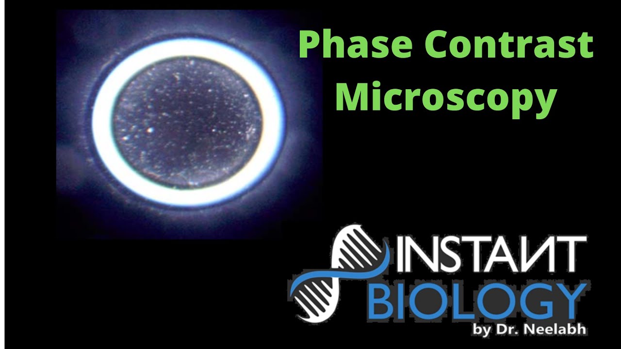 Phase Contrast Microscopy - YouTube