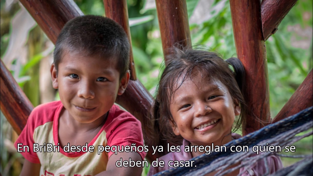 Pueblo indígena - BriBri - YouTube