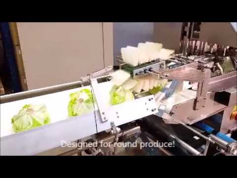 Full automatic iceberg lettuce vegetable packing wrapping machine/flow ...