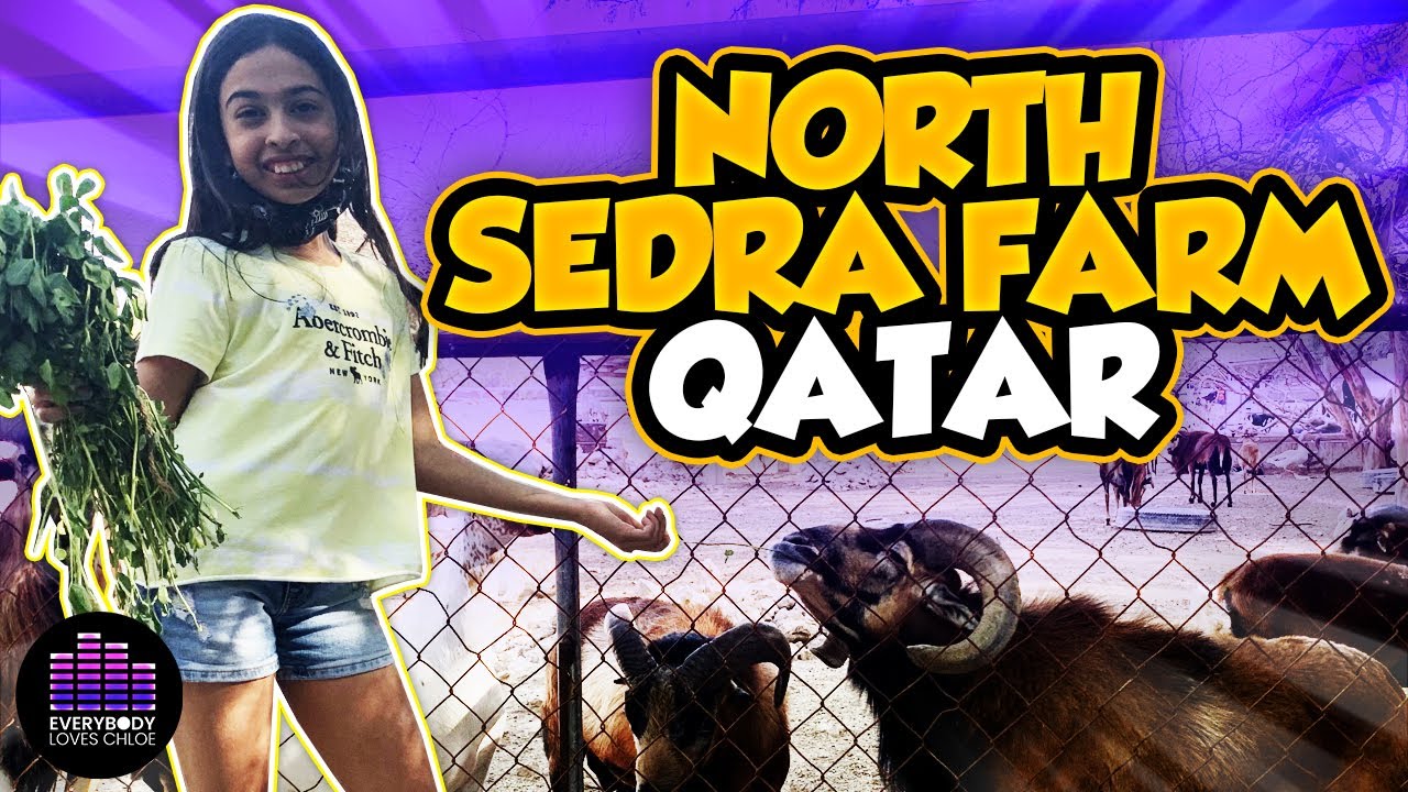 NORTH SEDRA FARM Doha Qatar | Places to visit in QATAR 2022 - YouTube