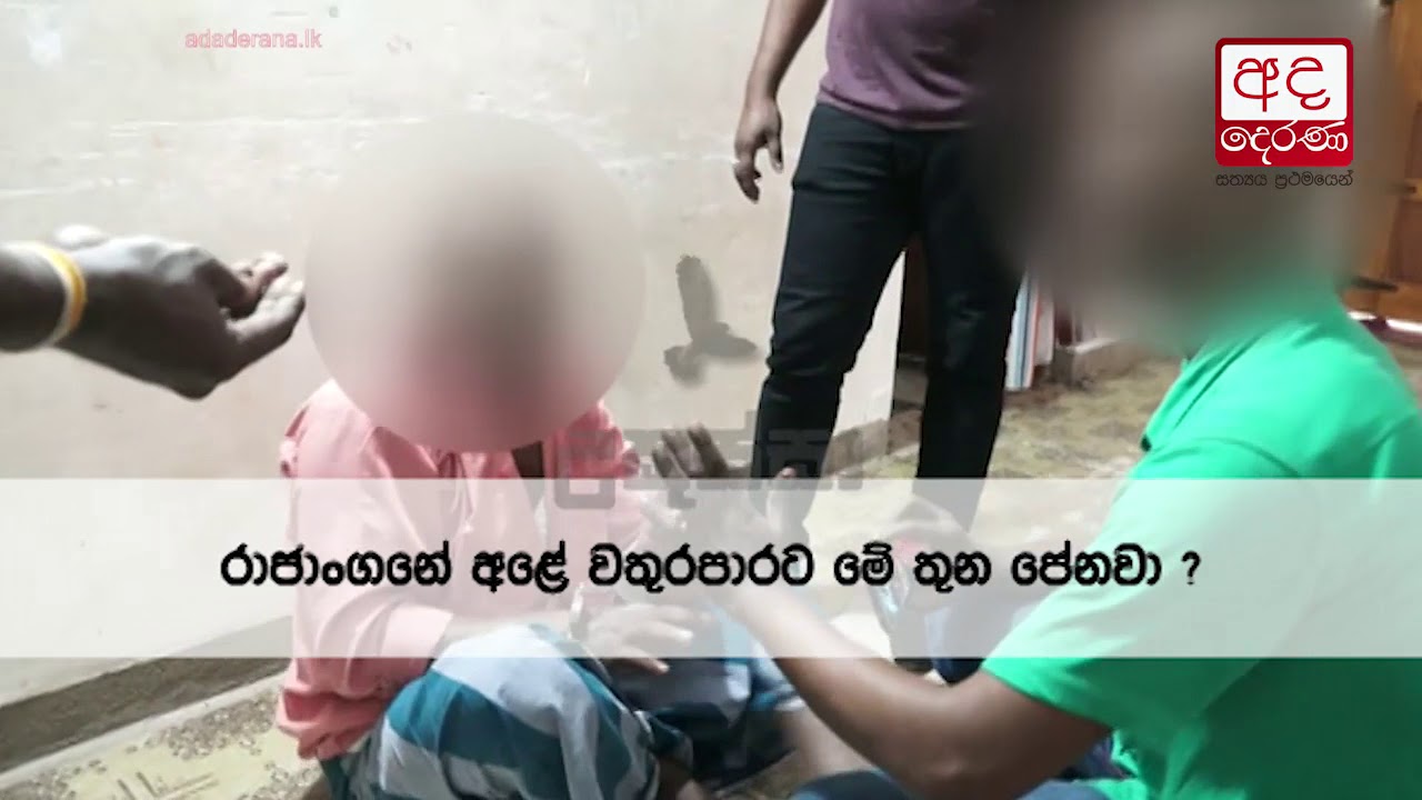 Gajamuthu (elephant pearls) racket busted - YouTube