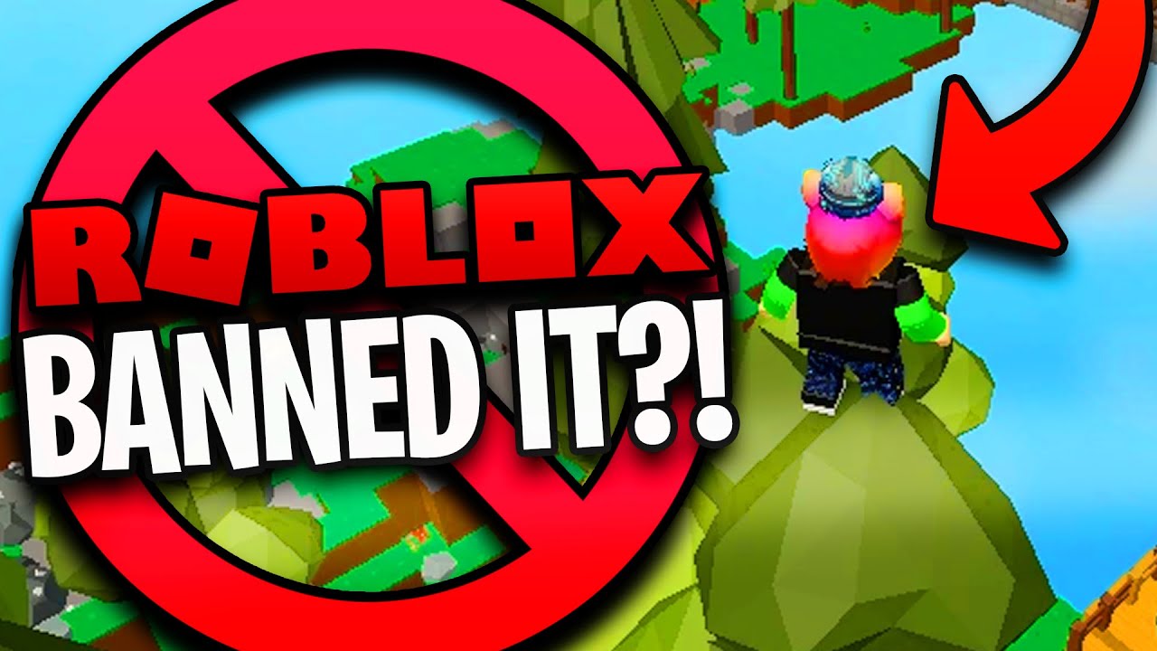 Why ROBLOX BANNED ROBLOX Skyblock! - YouTube