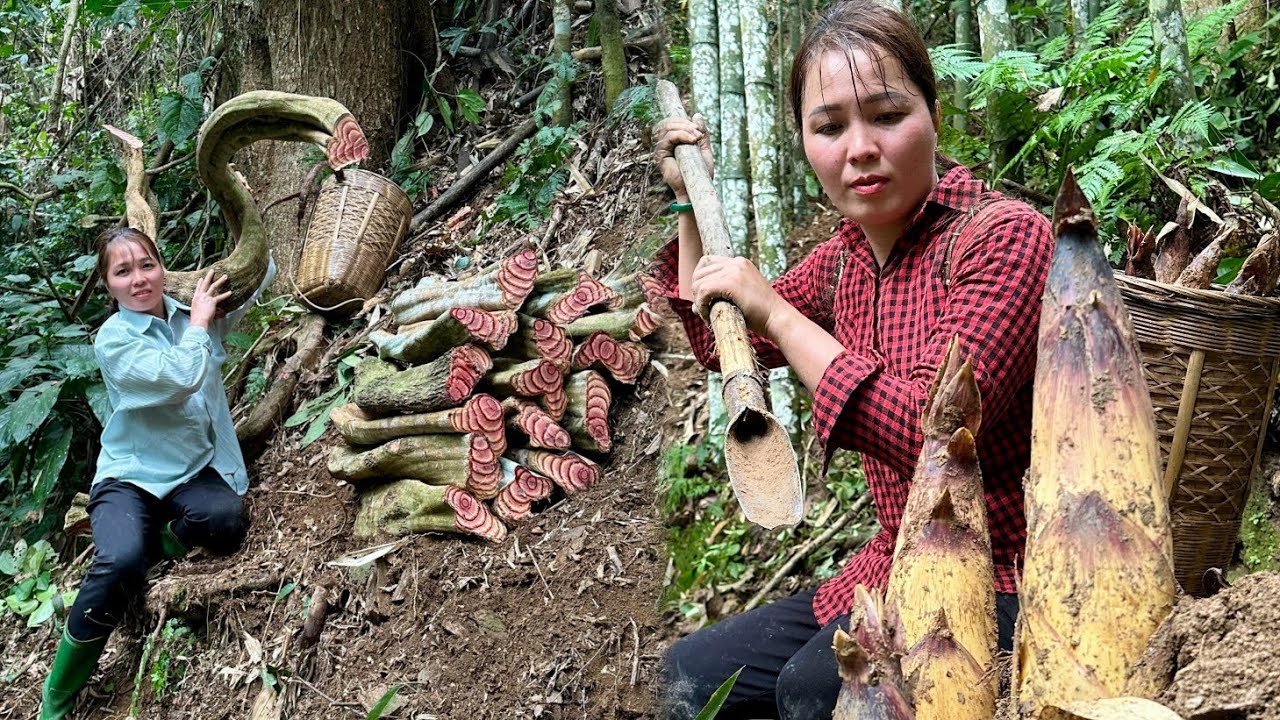 2 years living in the forest, harvesting bamboo shoots, chicken eggs ...