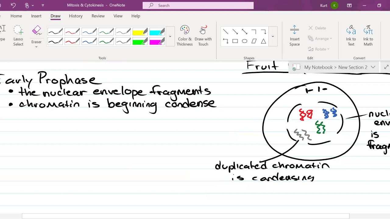 AP Biology Unit 4 - Lesson 34: Mitosis and Cytokinesis - YouTube