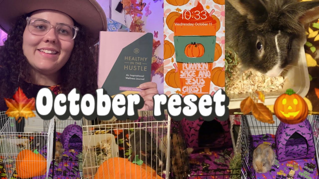October reset goal setting And decorating my rabbits cages for fall 🍁🍂🐰 ...