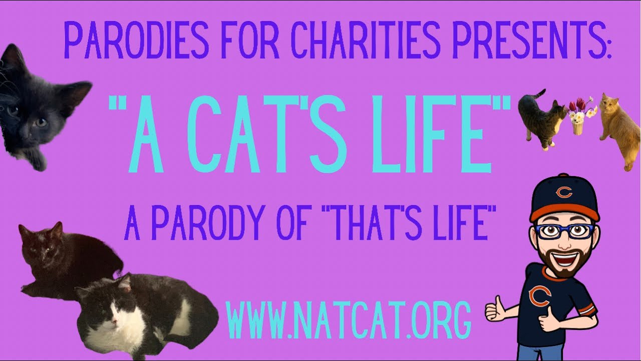 Parodies for Charities: “A Cat’s Life” (a parody of “That’s Life ...