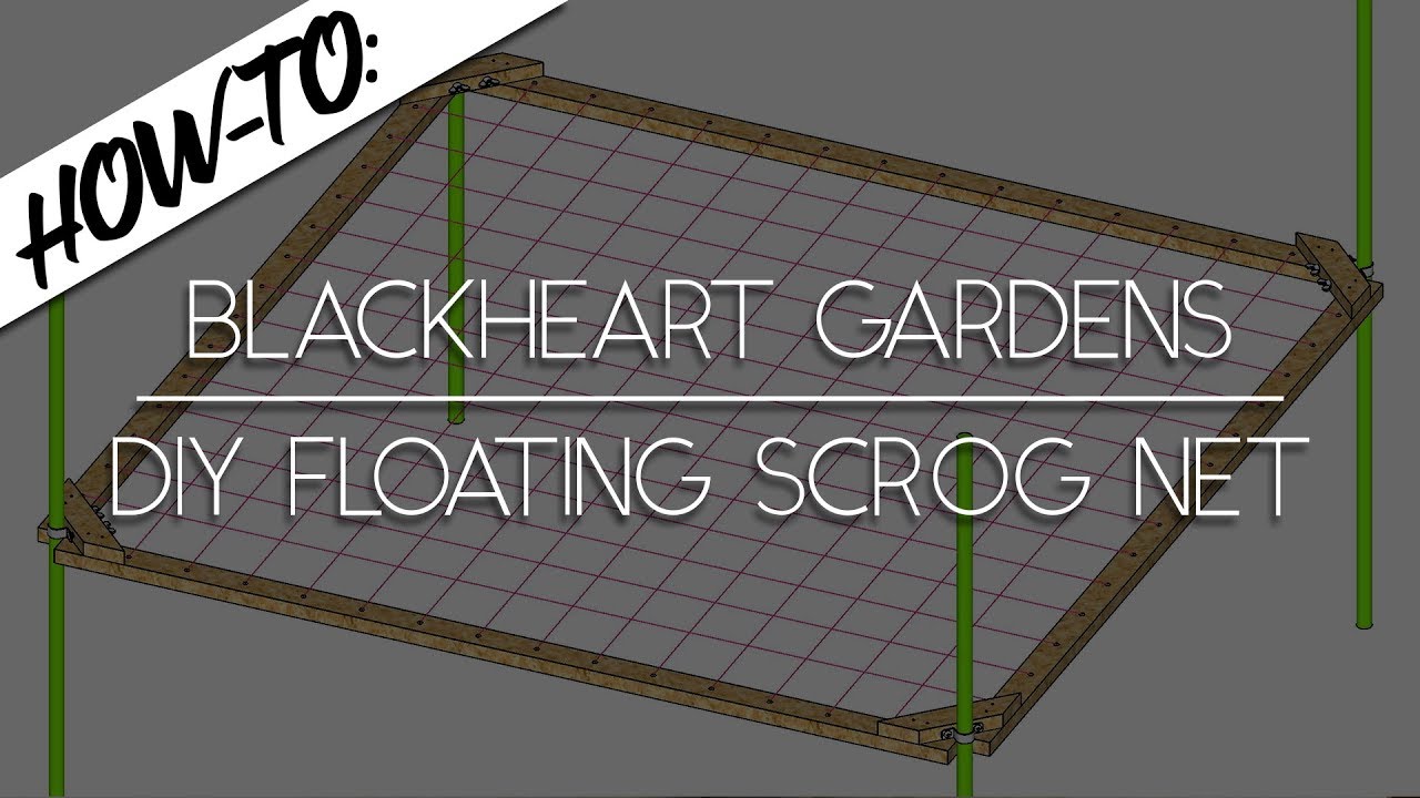 HOW TO - DIY Floating SCROG Net - Link In Description - YouTube