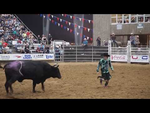 PRCA Professional Freestyle Bullfighting - Pasadena Rodeo - YouTube