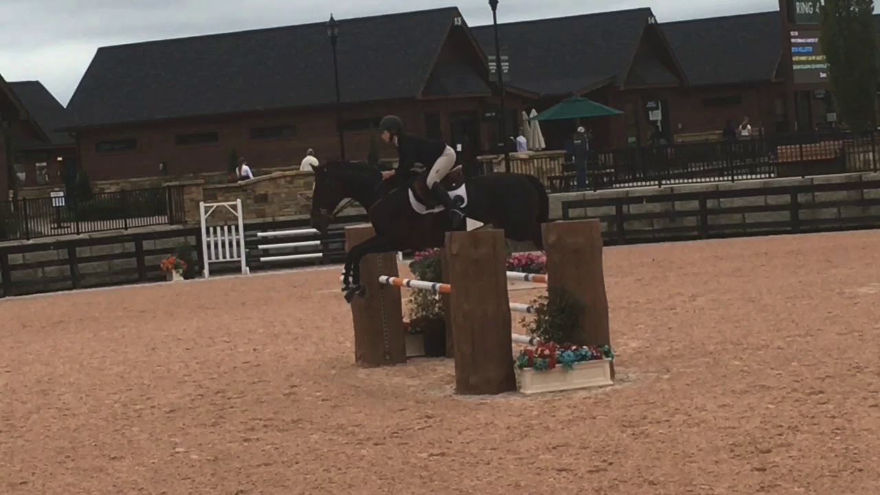 Cindy Celine Buffart Tryon and Superman Showjumping - YouTube