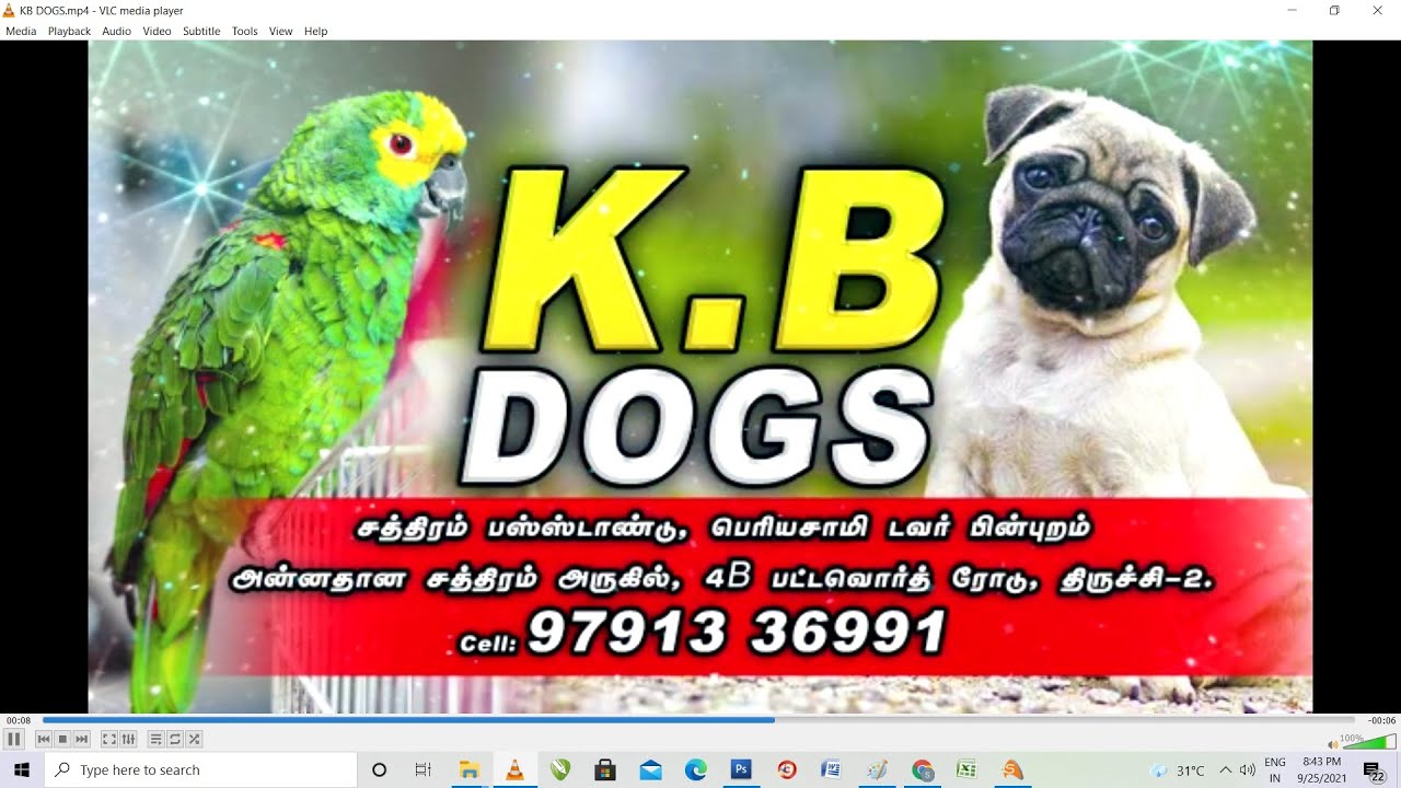 KB DOGS - YouTube