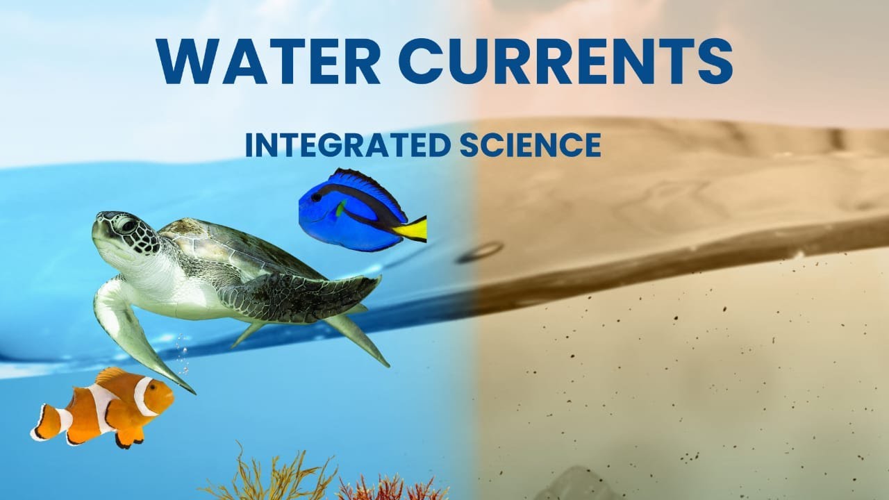 Water currents | Integrated science - YouTube