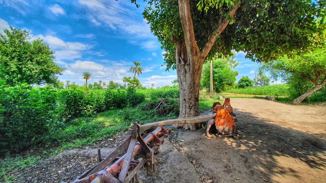 Amazing Punjab Village Life | Nature In Pakistani Villages - YouTube