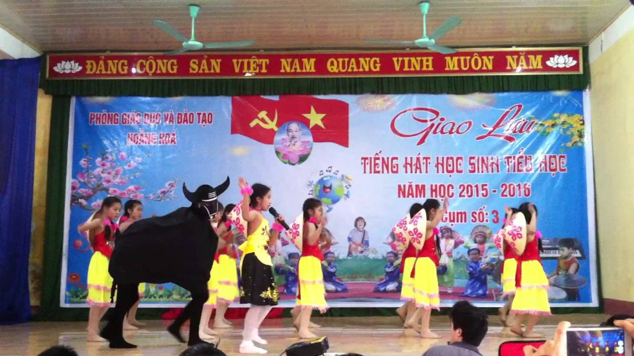 dat trau ra dong TH Hoang Thai - YouTube