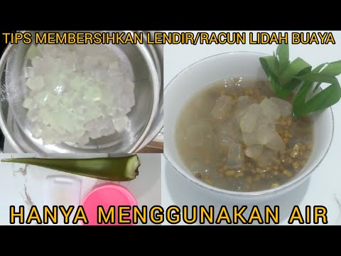 HANYA REBUS 5 MENIT LIDAH BUAYA BISA DI KONSUMSI !!campur kacang hijau menjadi sehat & penuh manfaat