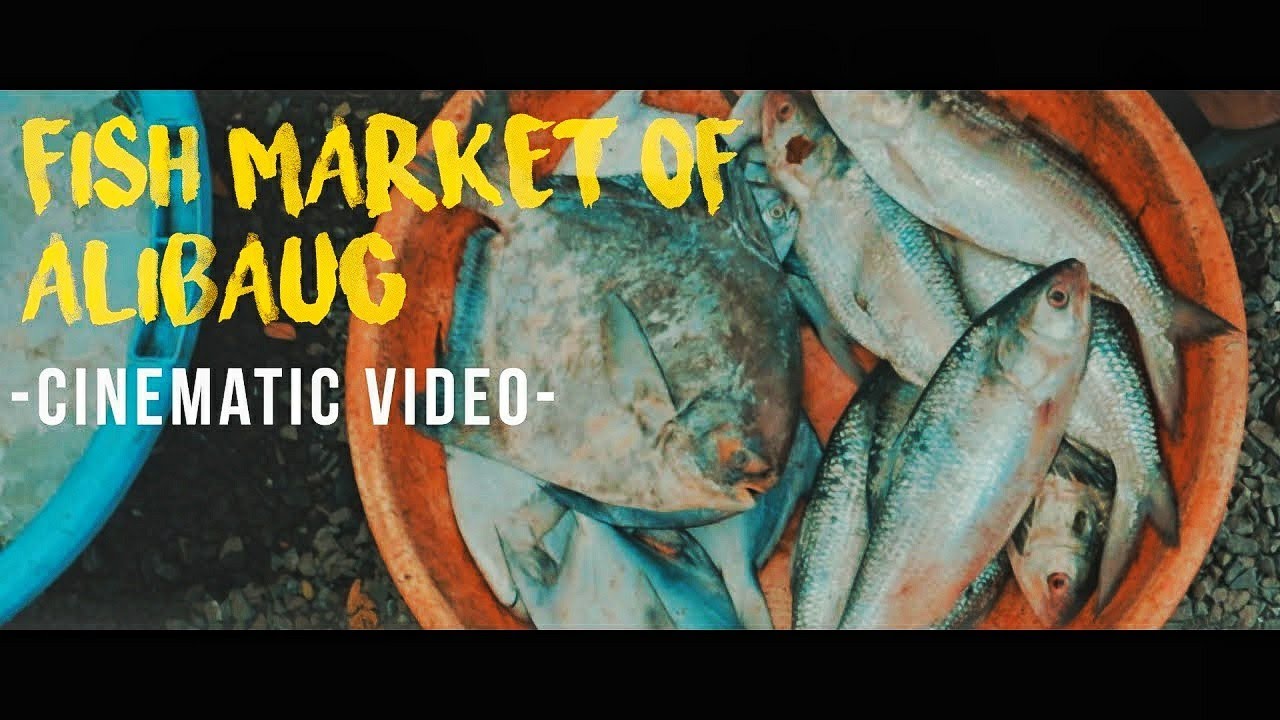 Experience FISH MARKET OF ALIBAUG! through my lens | Shot on Canon 200D ...