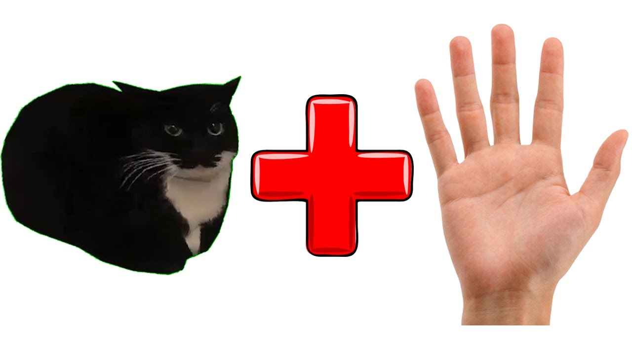 Maxwell cat + Hand = ??? | Maxwell Cat Meme | Maxwell The Cat Theme ...