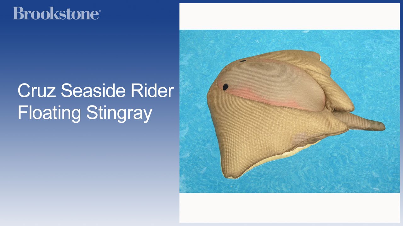 Cruz Seaside Rider Floating Stingray - YouTube
