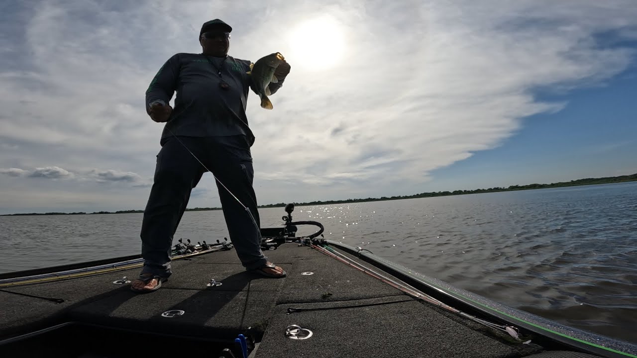 Crushed'em on shad crack! 🎣👍😁 - YouTube