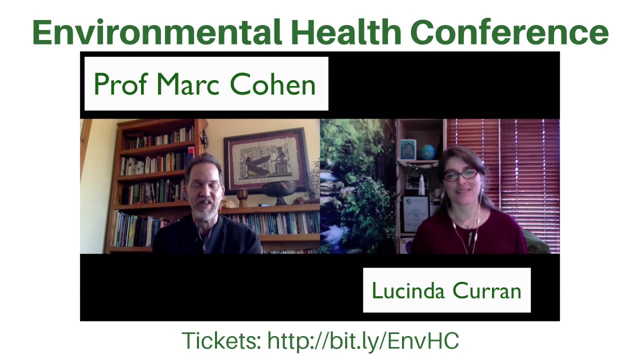 Prof Marc Cohen on the Environmental Health Conference - YouTube