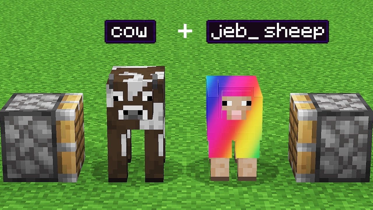cow + jeb sheep = ??? - YouTube