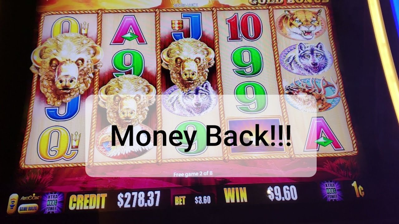 Bonus Run on Buffalo Gold Slot Machine Max Bet - YouTube