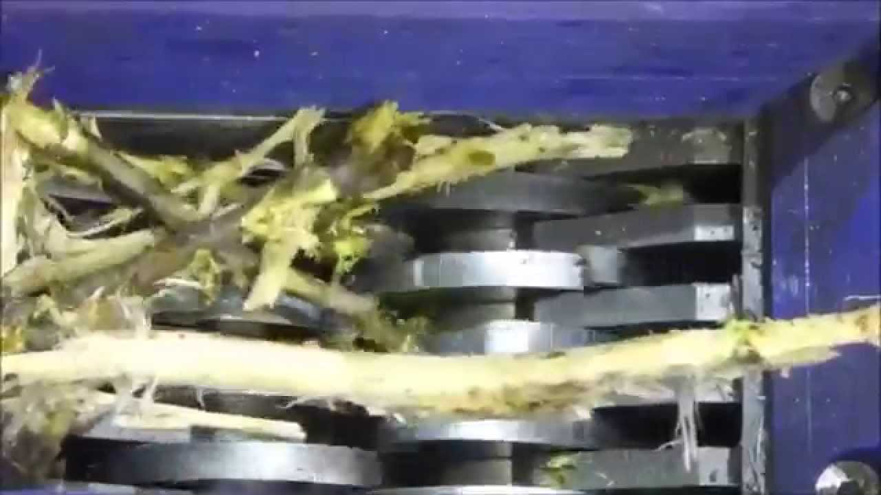 Shredding some branches with FilaMaker mini shredder. - YouTube