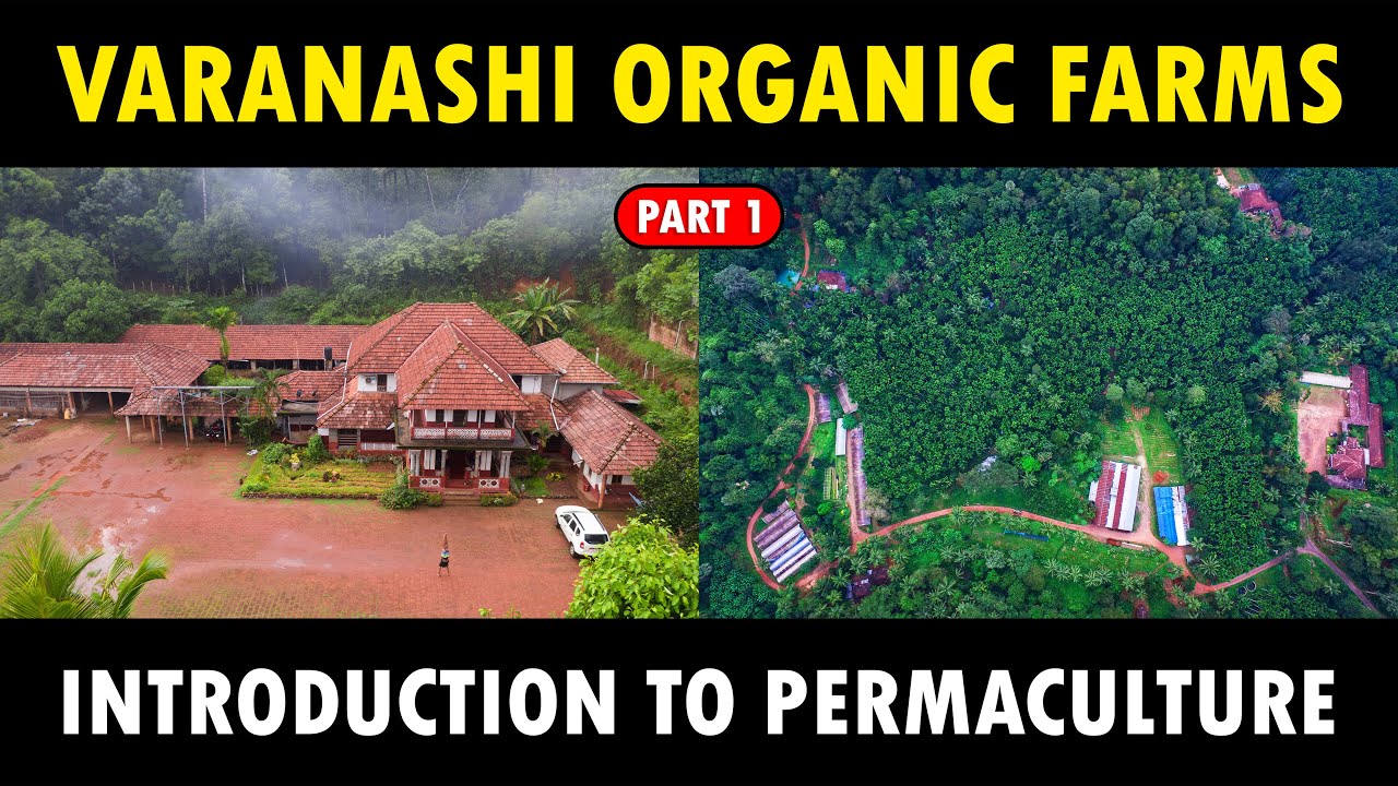 Introduction to PERMACULTURE FARMING | Varanashi Organic Farms ...