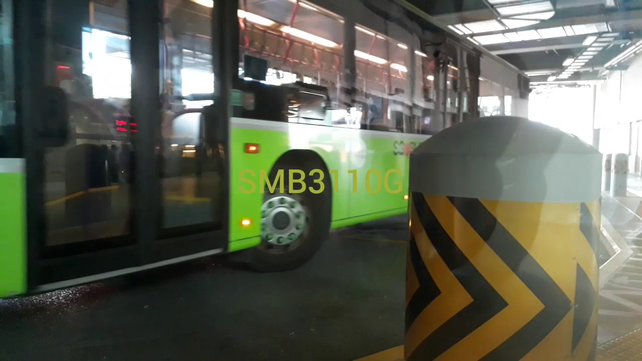 (TTS/SBST)Buses at Clementi Interchange - YouTube