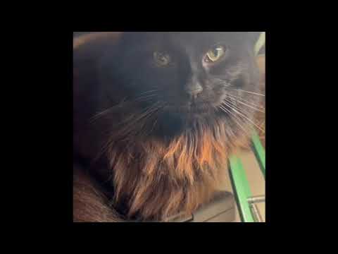 Love me for who I am now