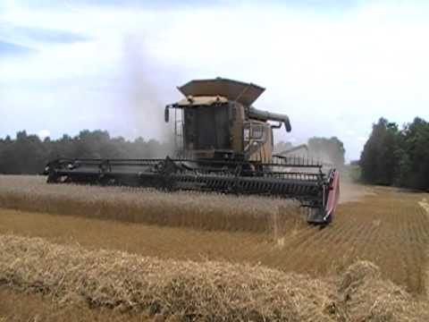 Claas Lexion 595R and 575R - YouTube