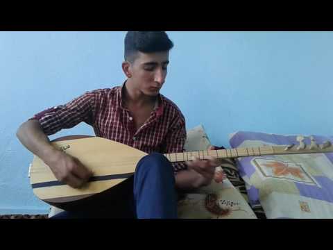 Mir mehmet sarboga