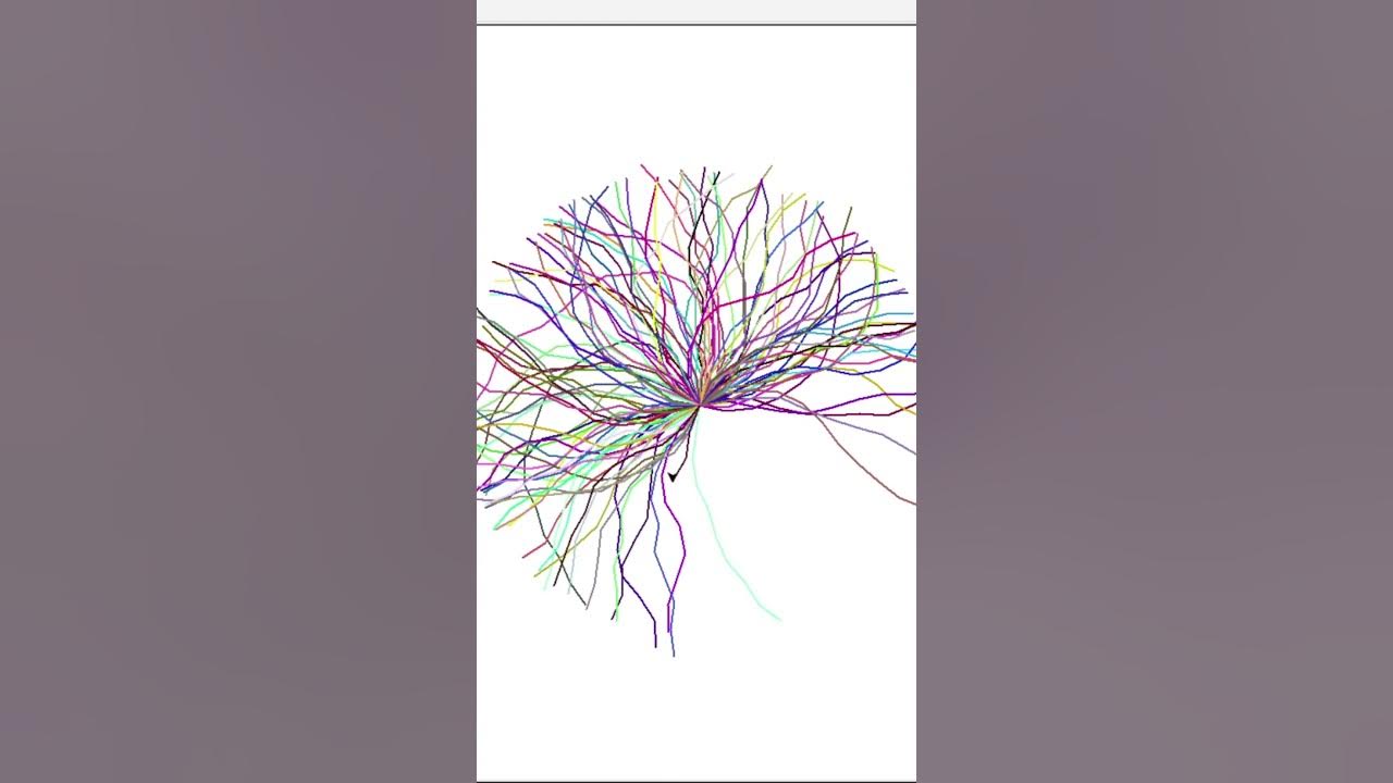 Amazing Turtle Graphics Program In Python Python Shorts Shortfeed Youtubeshorts Youtube