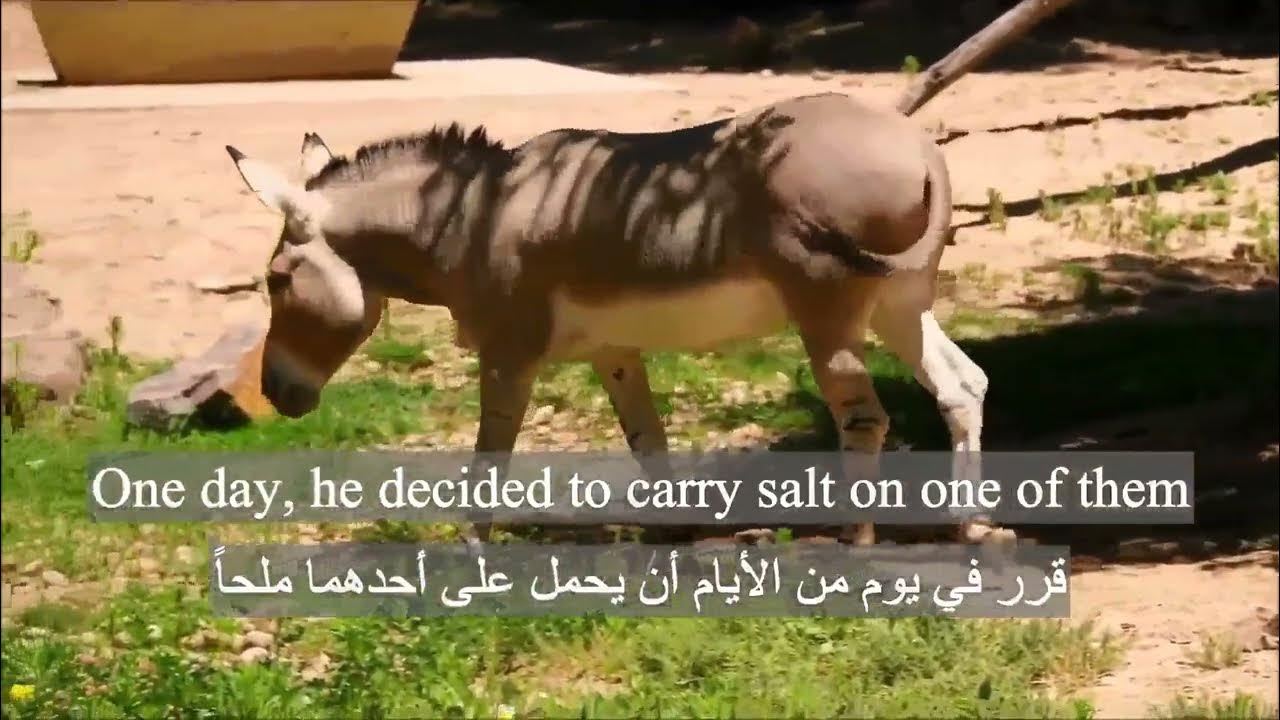 The Tale of Two Donkeys (Motivational Short Story) - YouTube