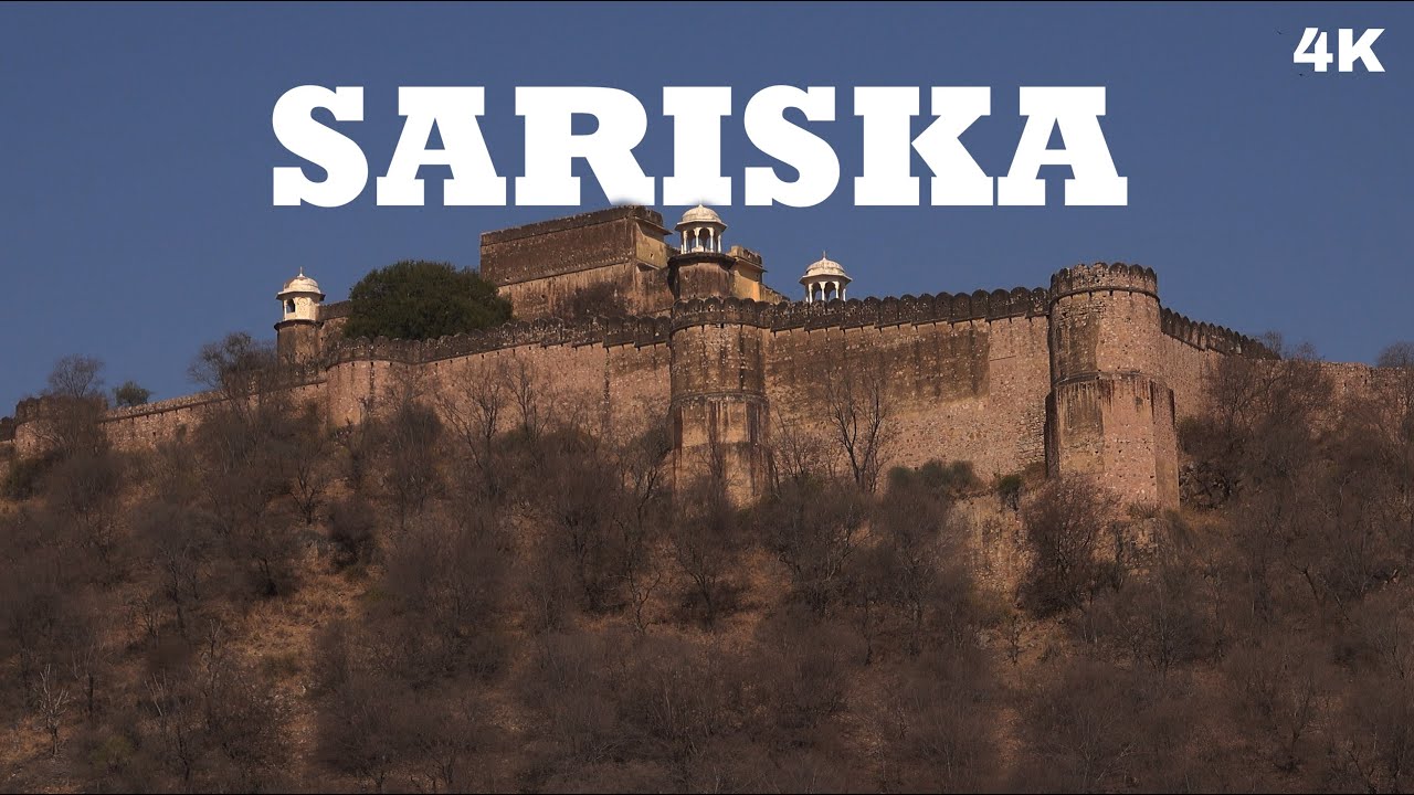 Sariska Tiger Reserve - My Encounter with the Leopard - Haunted Jungle ...