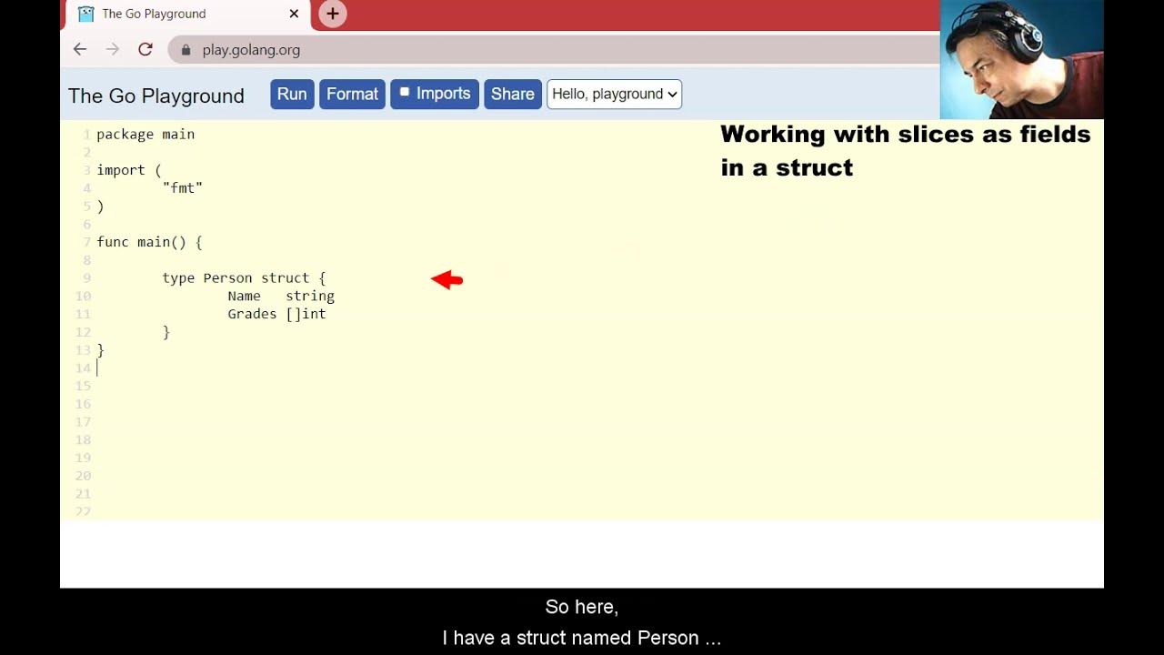 GO structs - How to include a slice or array as a field value in a ...