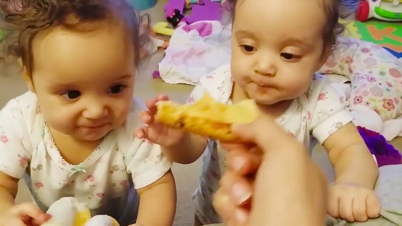Cute Twins Baby Fighting Over Funny Cute Video - YouTube
