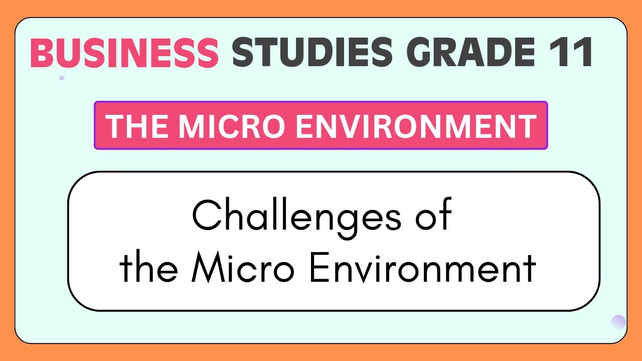 Business Studies Grade 11 | Challenges of the Microenvironment - YouTube