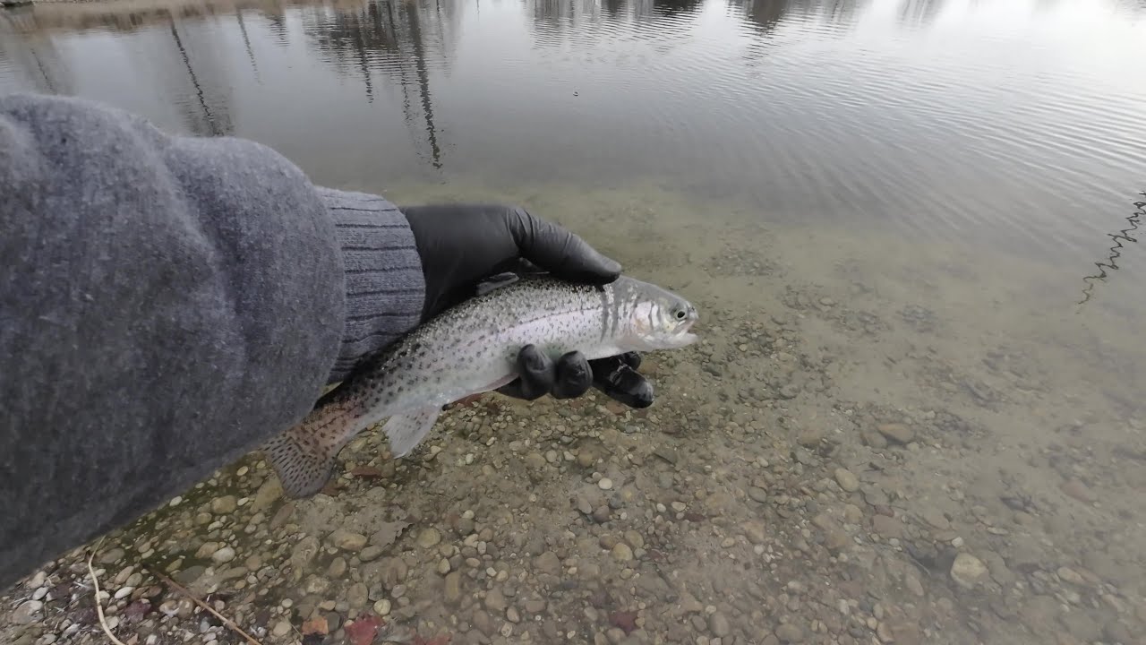 Finding the Fish (S02 E18 P2) - YouTube