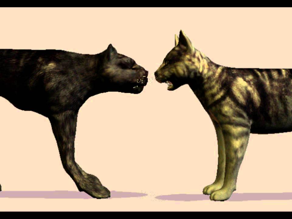 pusa joke (SIOPAO) - YouTube