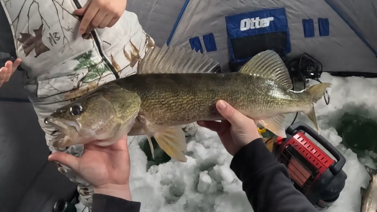 SUPER LONG Walleye - Another new PB with the Lowrance Eagle Eye 9 ...