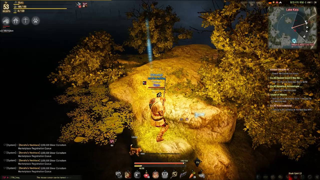 BDO (KR): How to hunt Freshwater Crocodiles - YouTube