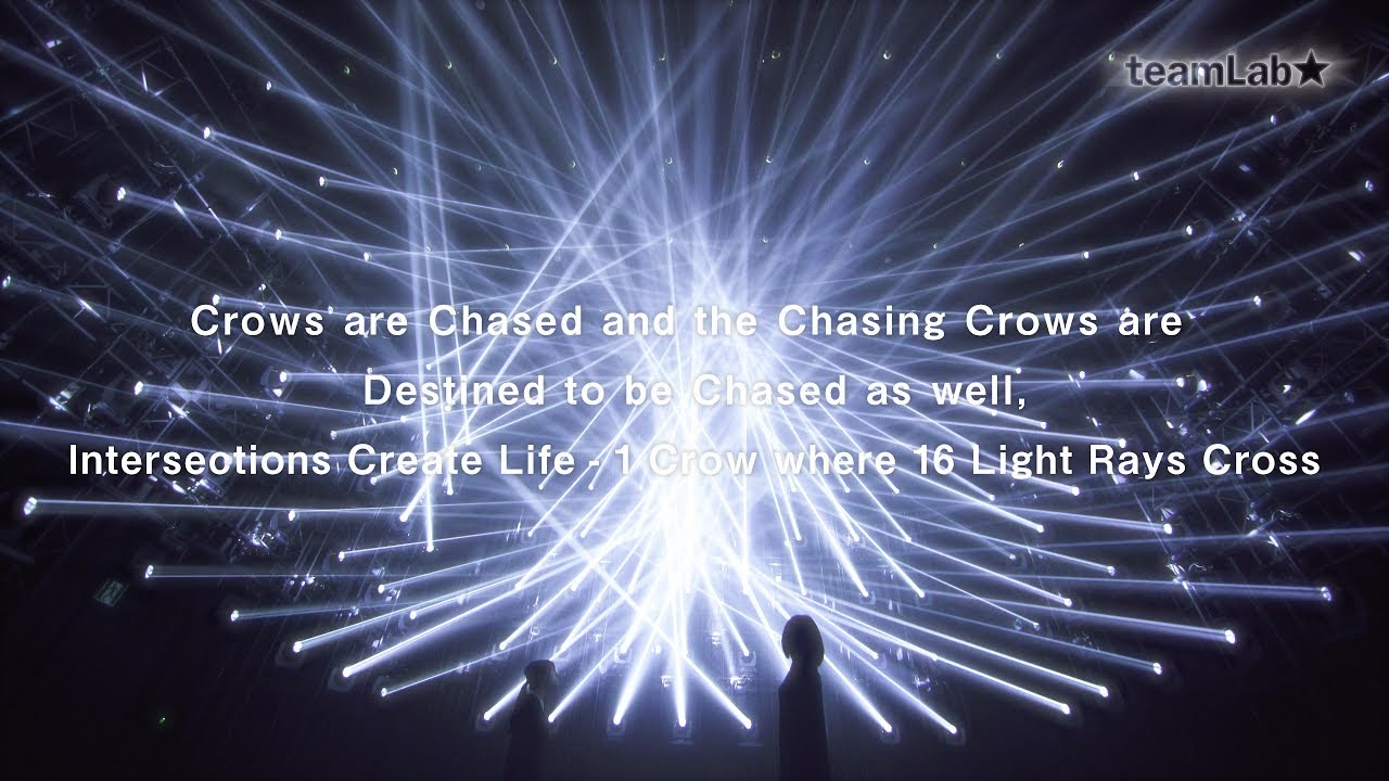 Crows are Chased and the Chasing Crows are Destined to be Chased as ...