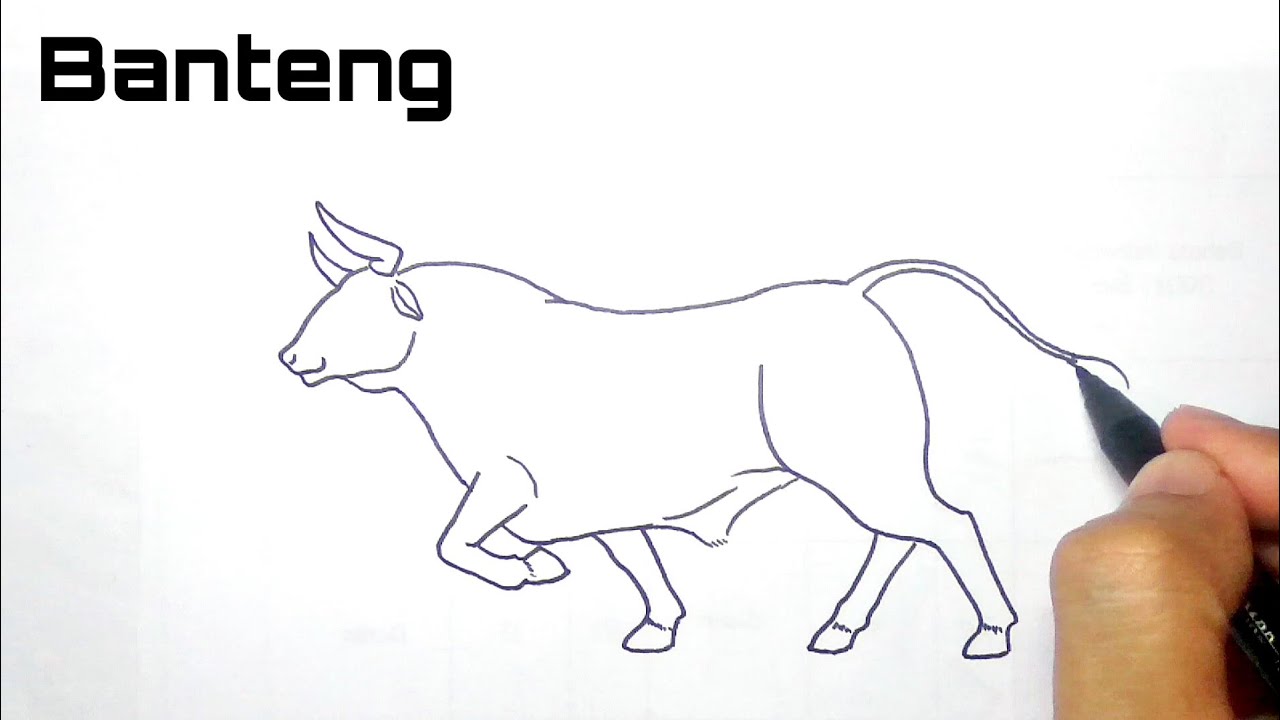 TUTORIAL MENGGAMBAR BANTENG YANG MUDAH - YouTube