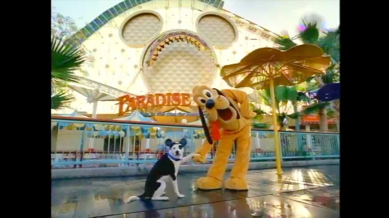 Disneyland Park - Rock This Dog Television Commercial (2004) - YouTube