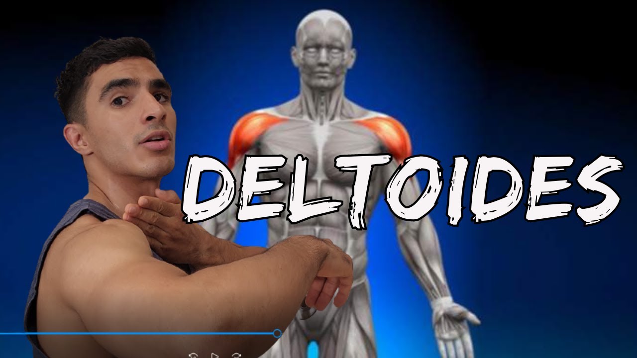 1# Deltoides - Anatomía funcional en 5 min. (Origen, Inserción y ...