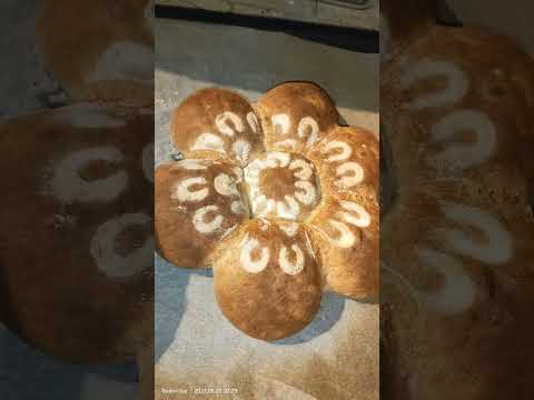 PAIN DE CAMPAGNE : FENDU, MARGUERITE, PAIN D'AIX, POLKA ET MAIN DE NICE ...