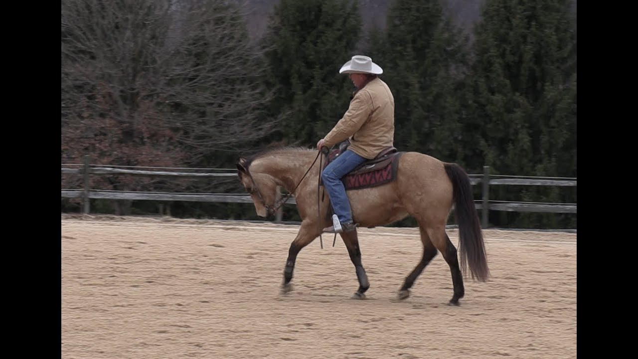 Introducing the Counter Bend (Episode 141) - Herm Gailey: A Lifetime ...