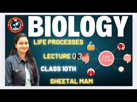 Life processes (Respiration) | Lecture 03| By Sheetal Mam | class 10th ...