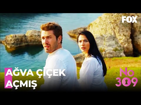 Filiz, Lale ve Onur'un Romantik Anlarını Bozdu - No: 309 48. Bölüm