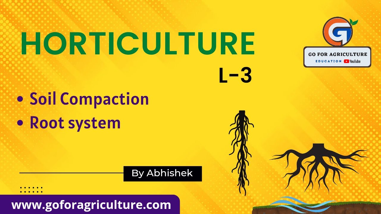 Soil compaction and root system - Horticulture L-3 Go For Agriculture # ...